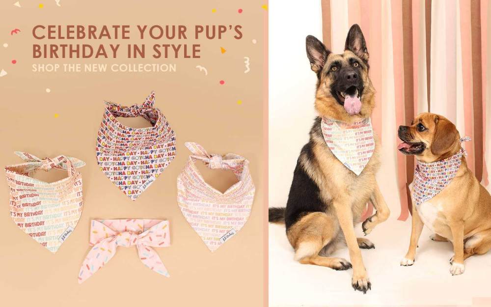 Eco Friendly Pet Products & Lil’ Archie's