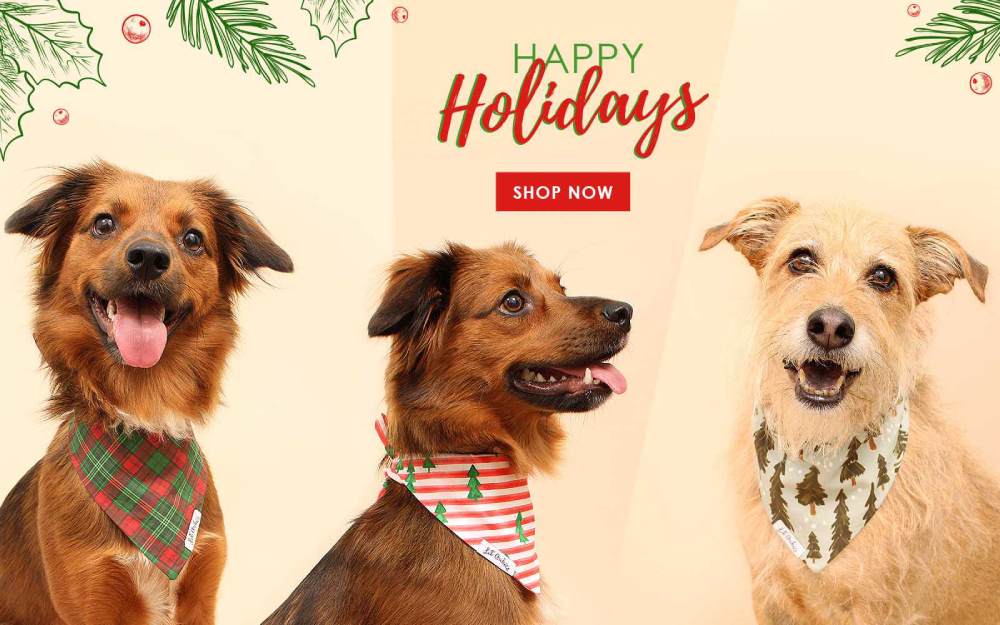 Eco Friendly Pet Products & Lil’ Archie's