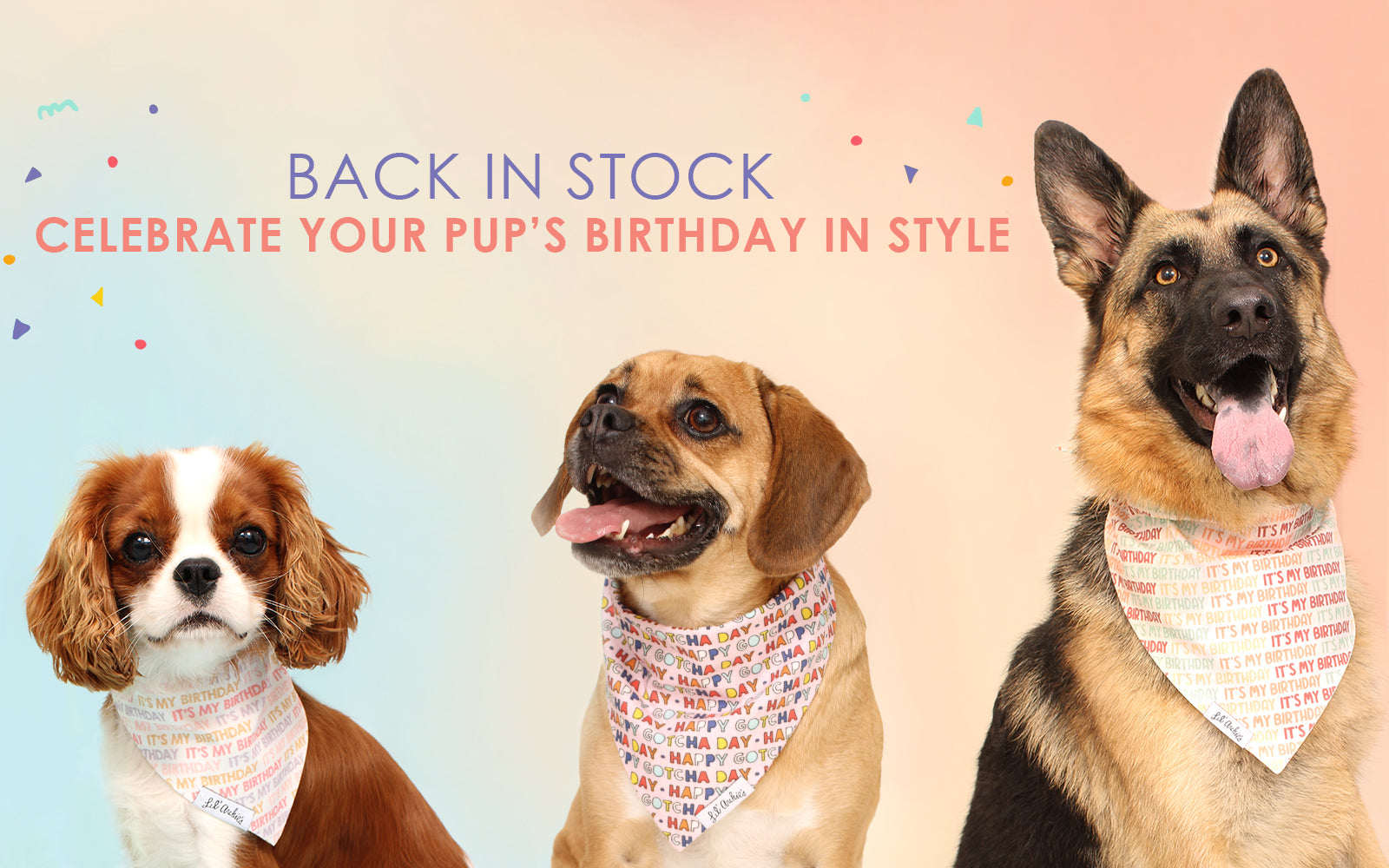 Eco Friendly Pet Products & Lil’ Archie's