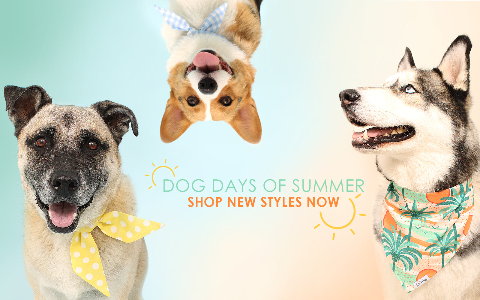 Eco Friendly Pet Products & Lil’ Archie's