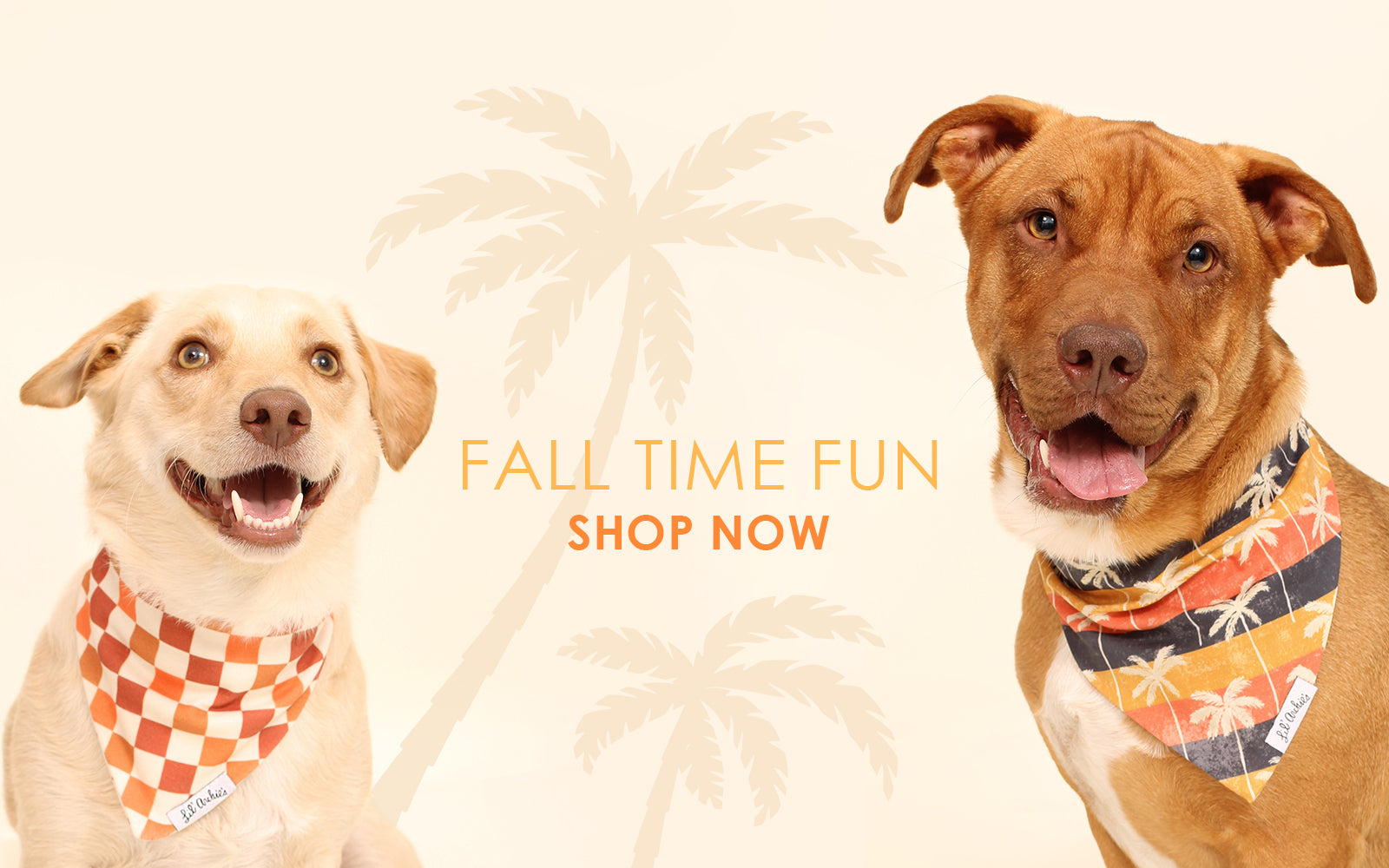 Eco Friendly Pet Products & Lil’ Archie's