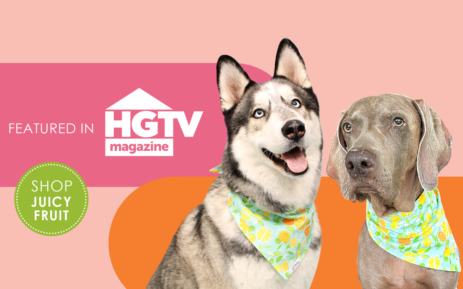 Eco Friendly Pet Products & Lil’ Archie's