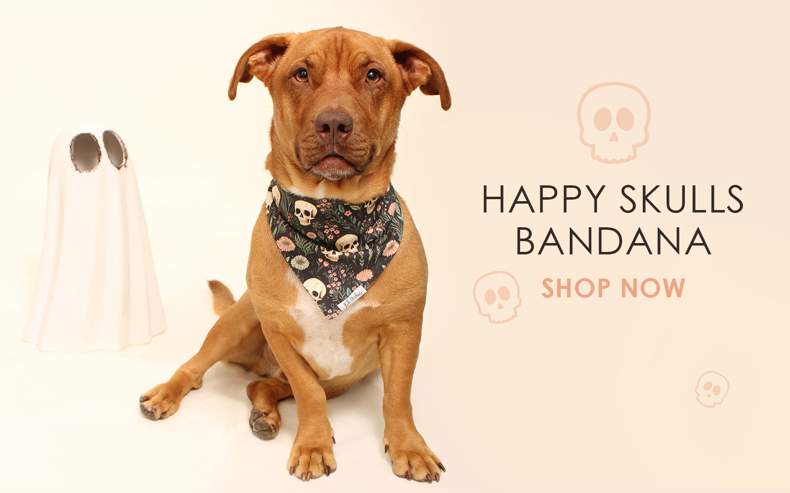 Eco Friendly Pet Products & Lil’ Archie's