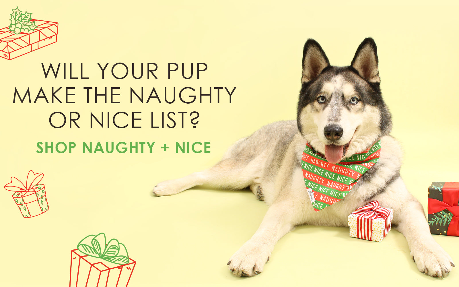 Eco Friendly Pet Products & Lil’ Archie's