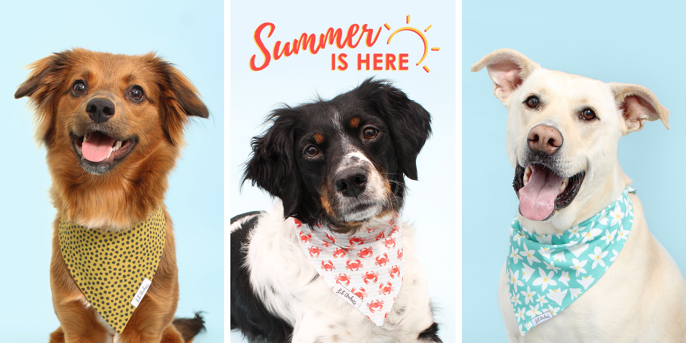 Lil' Archie's | Eco-Friendly Pet Products – Lil’ Archie's