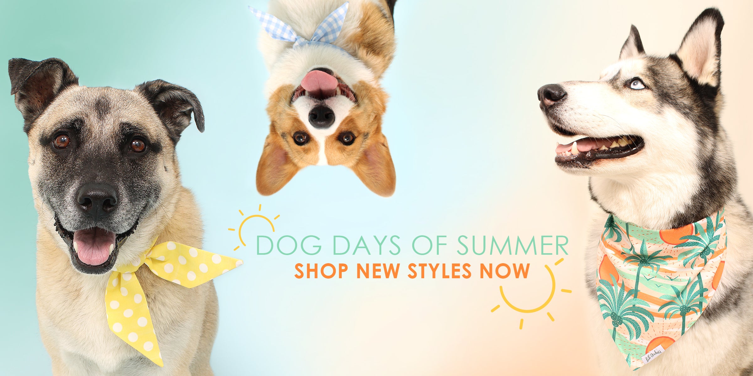 Eco Friendly Pet Products & Lil’ Archie's