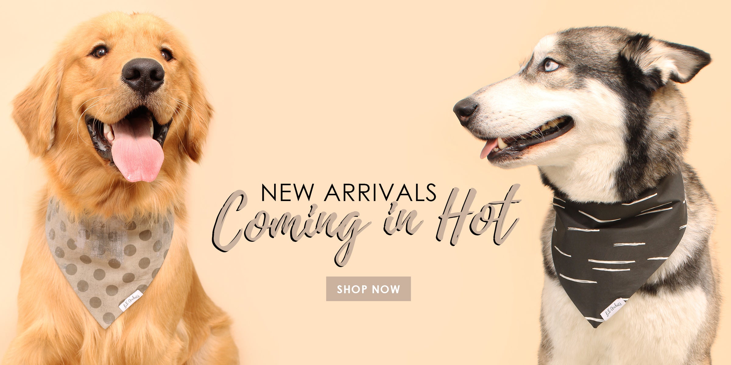 Eco Friendly Pet Products & Lil’ Archie's