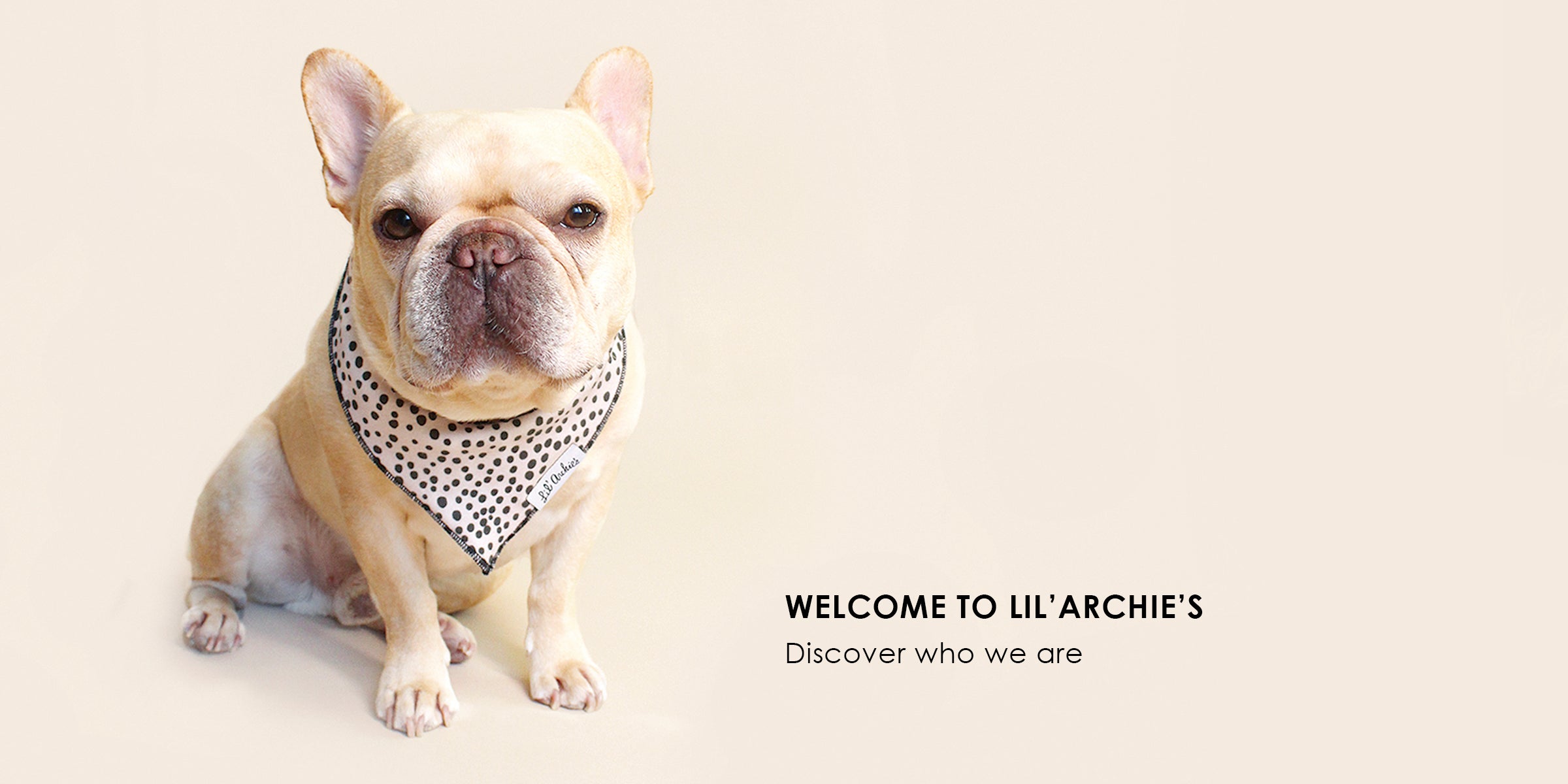 Lil' Archie's | Eco-Friendly Pet Products – Lil’ Archie's