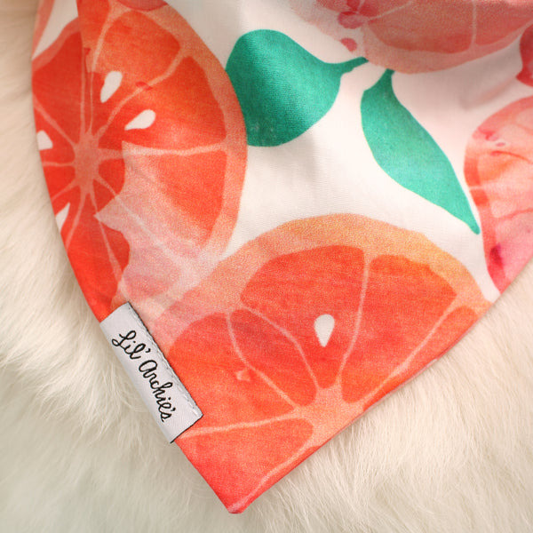 Citrus Grove- Dog Bandana – Lil’ Archie's