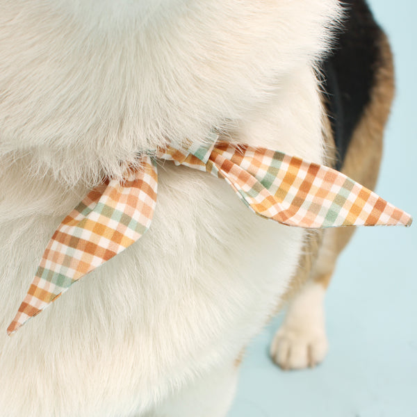 Sweetly Proper Plaid - Frenchie Twist Dog Necktie – Lil’ Archie's